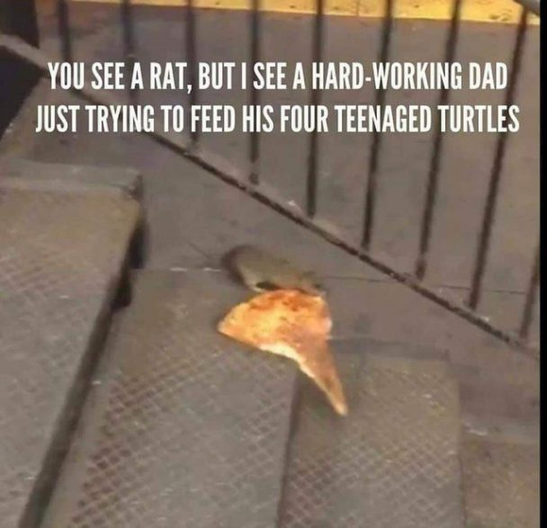 20+ Wholesome Memes To Help Keep You In A Positive Headspace