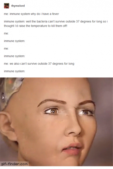 26 Brilliant Tumblr Posts Deserving Of Your Attention Today