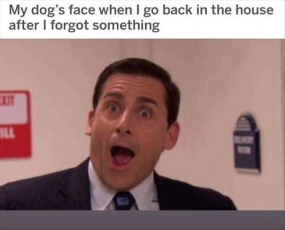 Relatable Memes You Will Feel In The Depths Of Your Soul