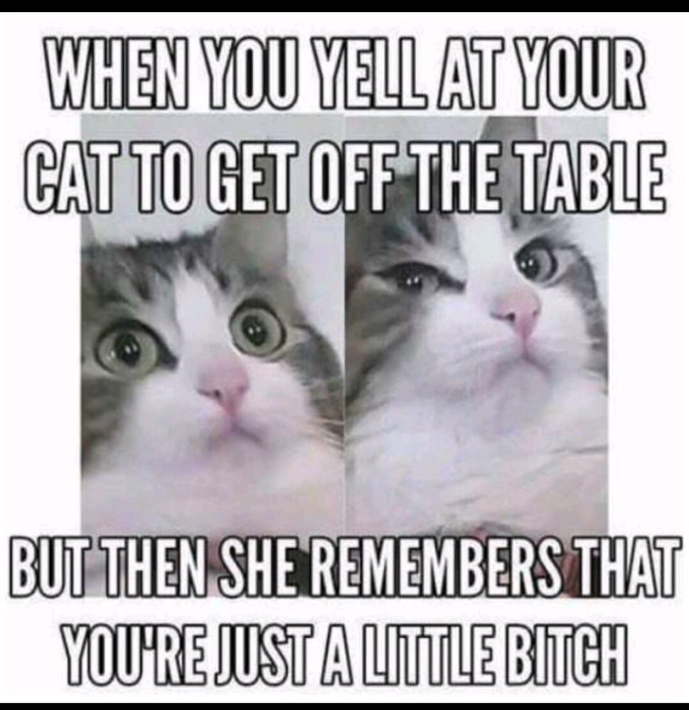 Relatable Memes You'll Feel In The Depths Of Your Soul