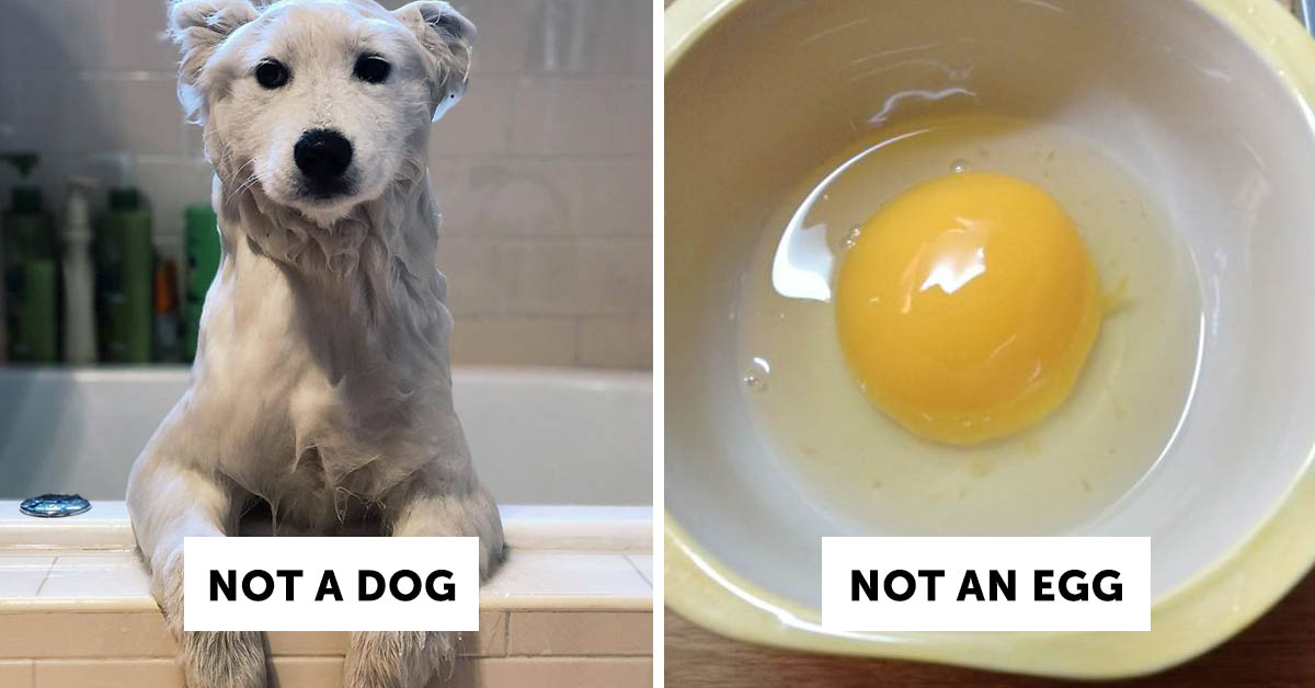 25 Examples Of Pareidolia That'll Trick Your Brain Whether You Like It ...