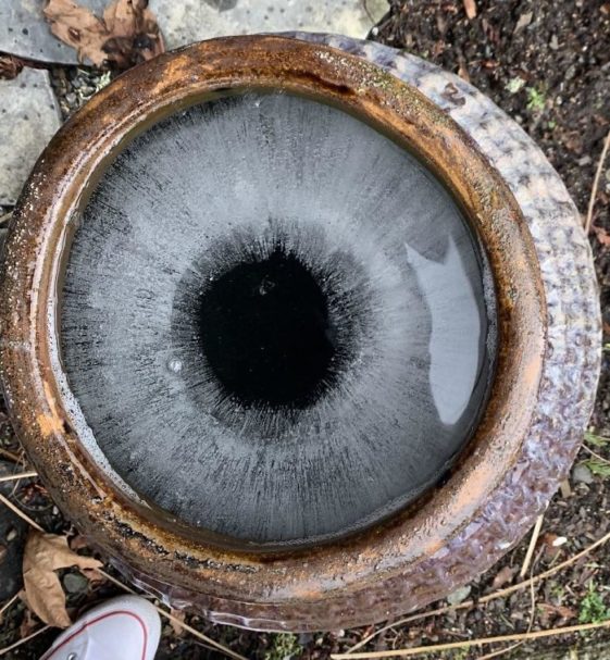 25 Examples Of Pareidolia That'll Trick Your Brain Whether You Like It ...