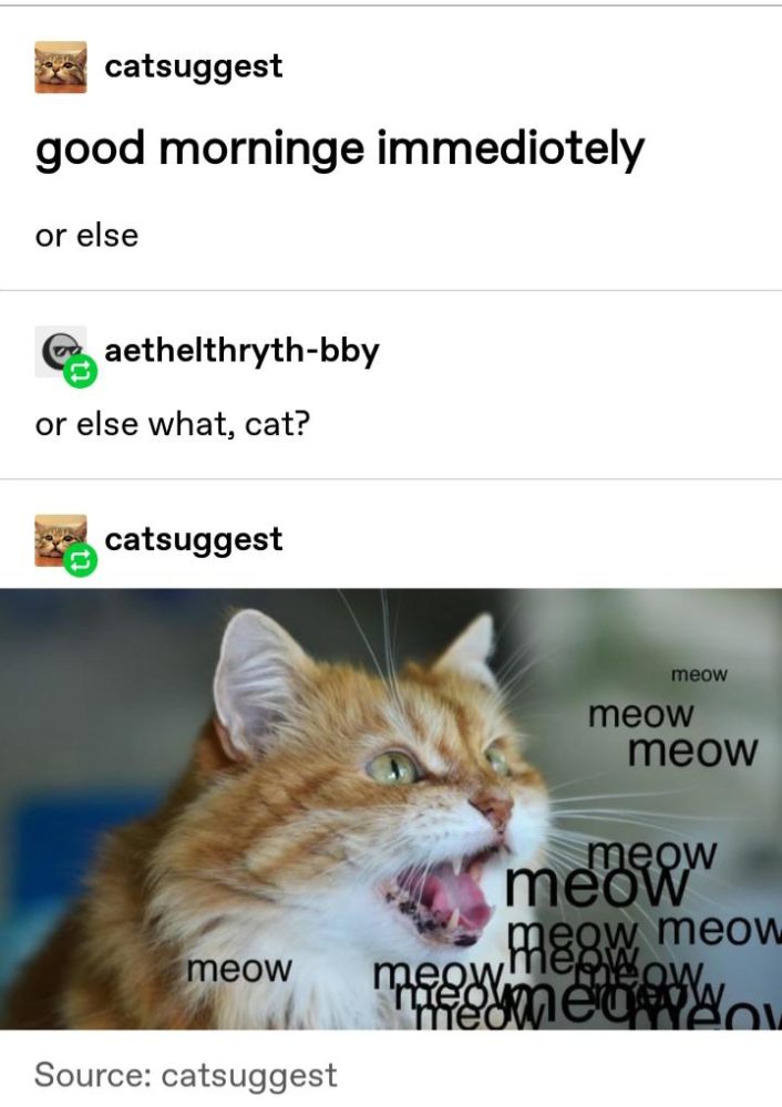 25 Of The Funniest Memes From 2019 (So Far)