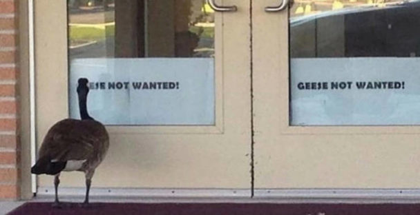 25 Utterly Random Pictures Everyone Should Laugh At Today