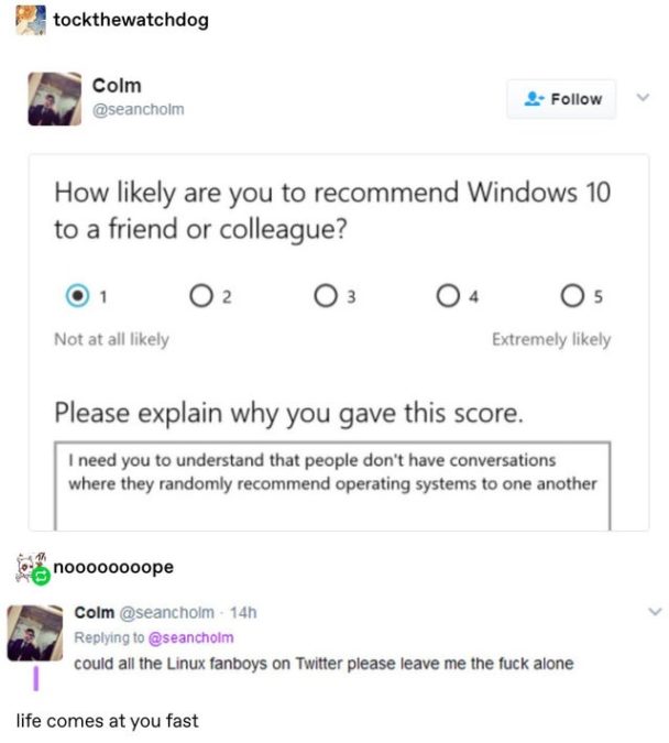 21 Brilliant Tumblr Posts Deserving Of Your Attention Today