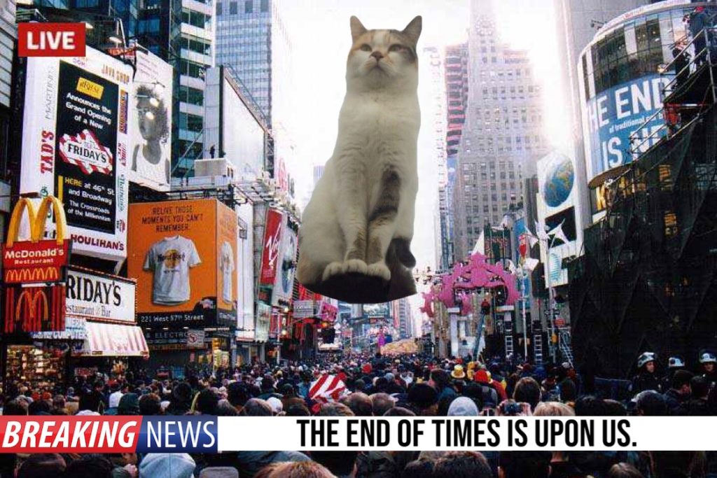 You’ve Probably Seen These Viral Pictures But The Goofy Photoshop ...