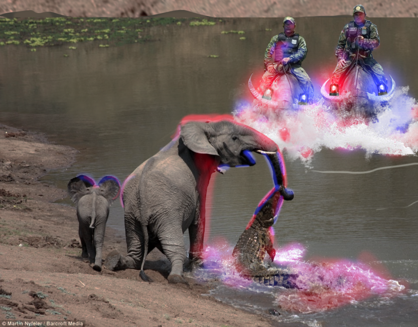 You’ve Probably Seen These Viral Pictures But The Goofy Photoshop ...