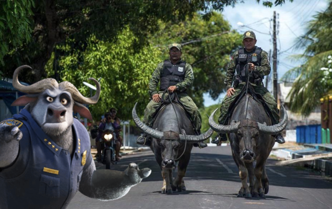You’ve Probably Seen These Viral Pictures But The Goofy Photoshop ...
