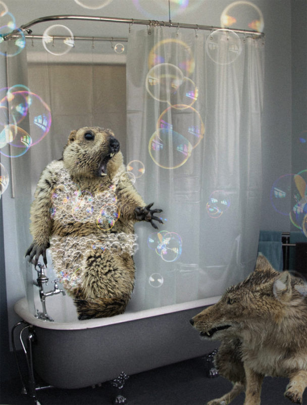 You’ve Probably Seen These Viral Pictures But The Goofy Photoshop ...