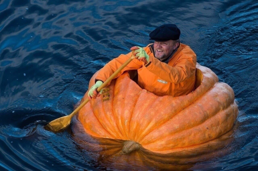 You’ve Probably Seen These Viral Pictures But The Goofy Photoshop ...