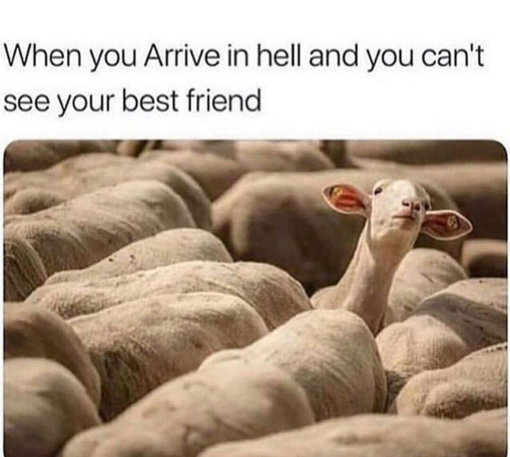 41 Of The Funniest And Most Relatable Memes In Internet History That 41 Of The Funniest And Most Relatable Memes In Internet History That