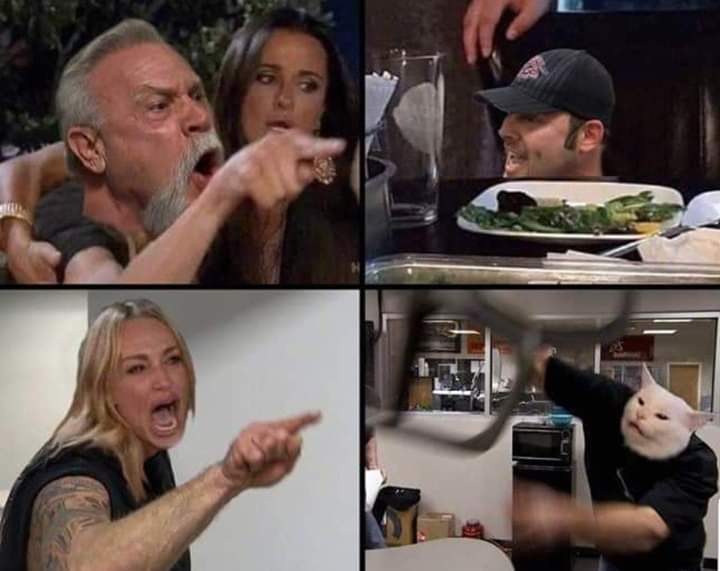 Woman Yelling At Cat Meme Template