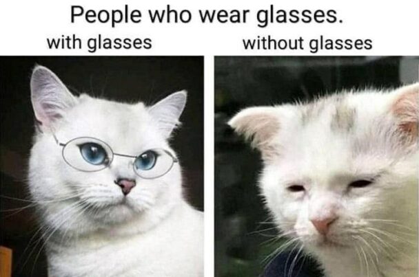 Fellow Glasses Wearers, May These 35 Hilarious Glasses Memes Help You ...