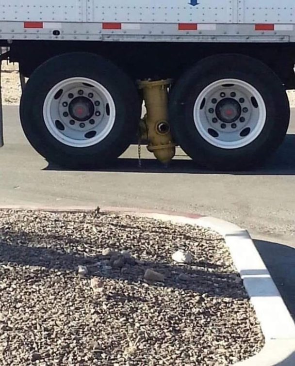 Still Cracking » Daily Dose Of Humor25 Real Weird Shit Out There On The ...