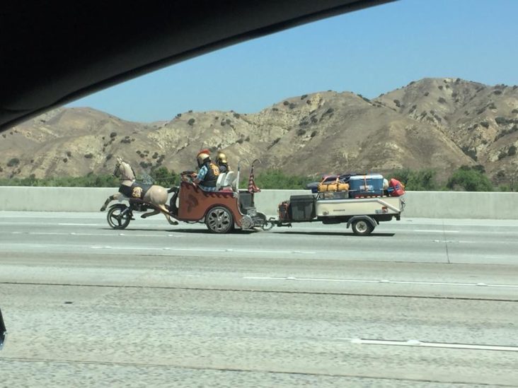 Still Cracking » Daily Dose Of Humor25 Real Weird Shit Out There On The ...