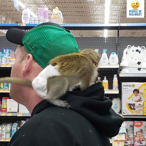 27 People Of Walmart Who Are Truly, Truly Unbelievable