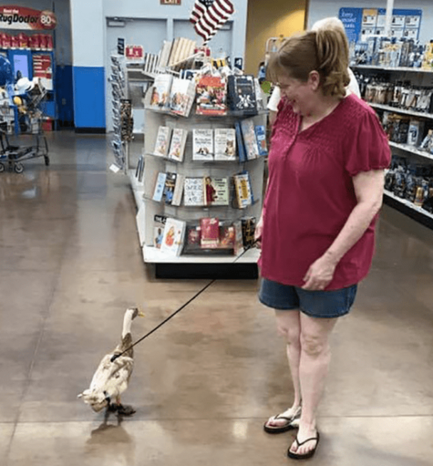 27 People Of Walmart Who Are Truly, Truly Unbelievable