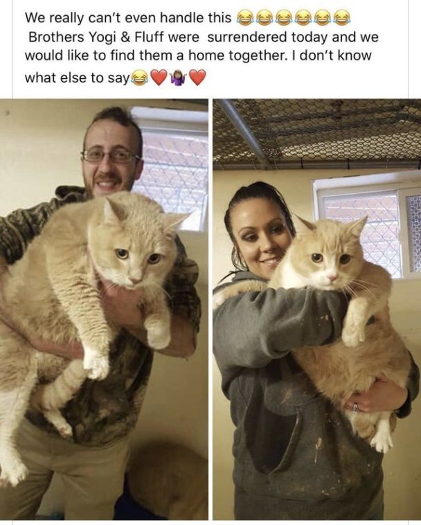 Absolute Unit Pics Are What We're All Gonna Look Like After Quarantine