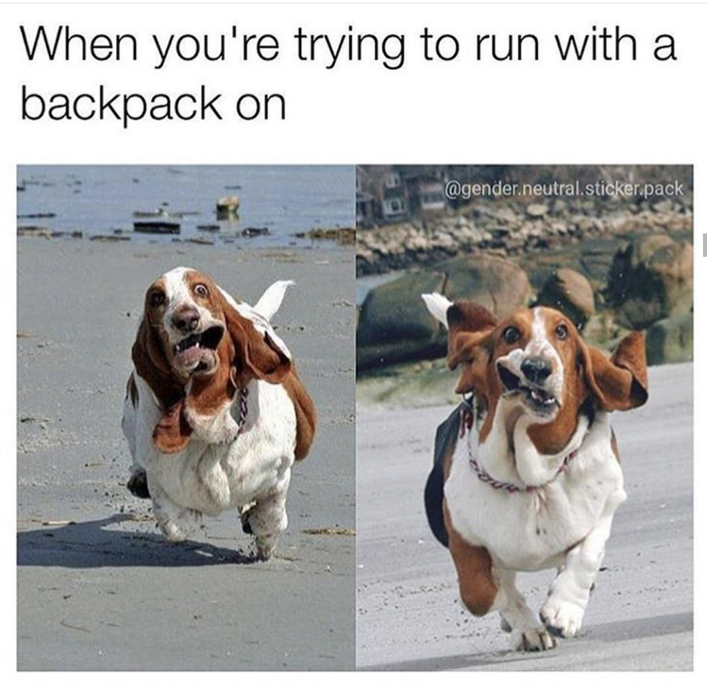 Basset Hound Pics That'll Bring Some Joy Into Your Life