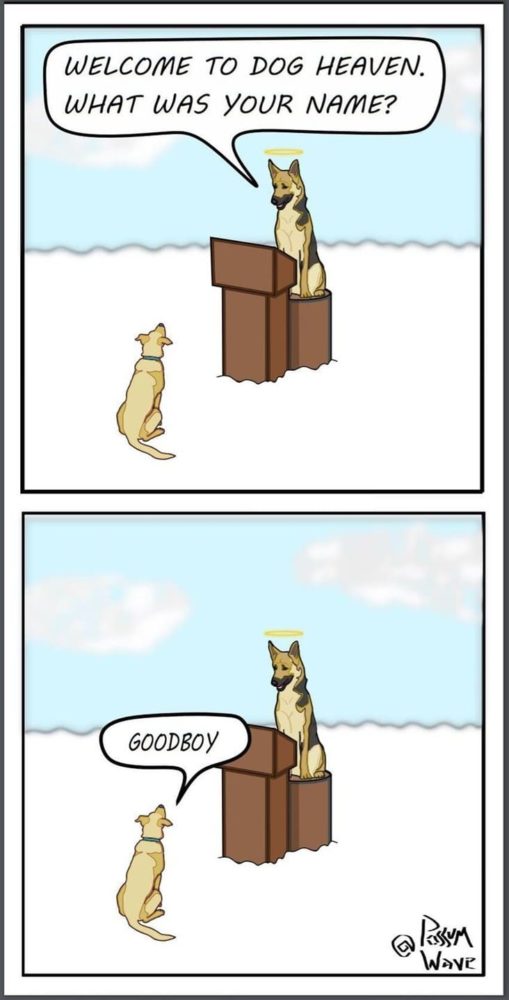 I'm Not Crying, You're Crying At These Sad Memes (26 Memes)