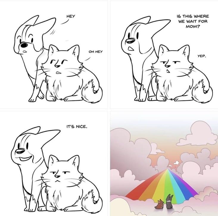 I'm Not Crying, You're Crying At These Sad Memes (26 Memes)