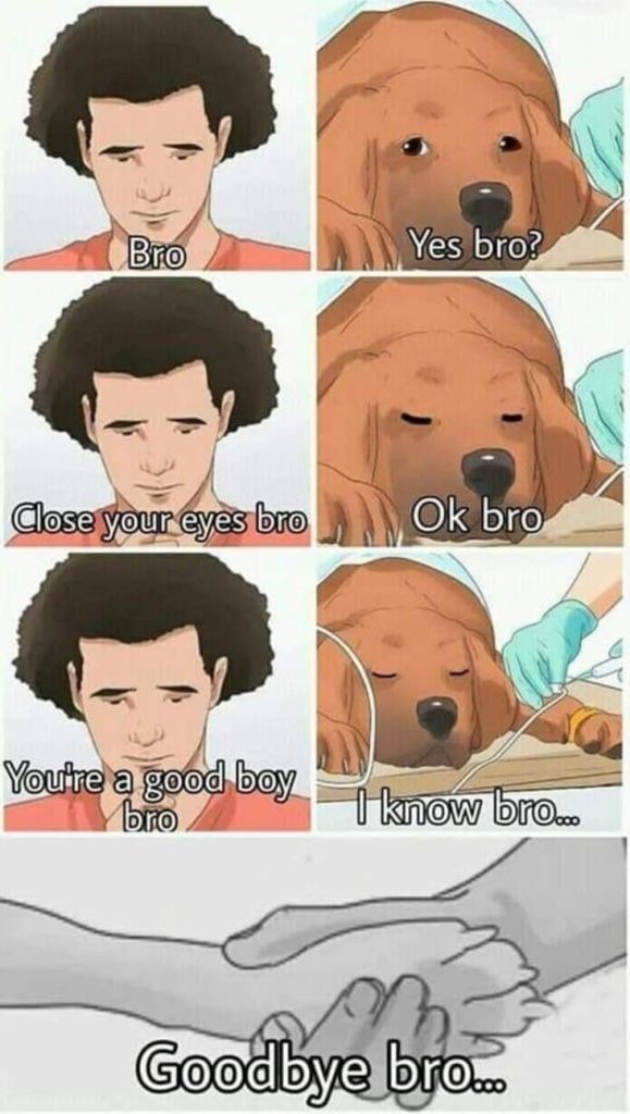 I'm Not Crying, You're Crying At These Sad Memes (26 Memes)