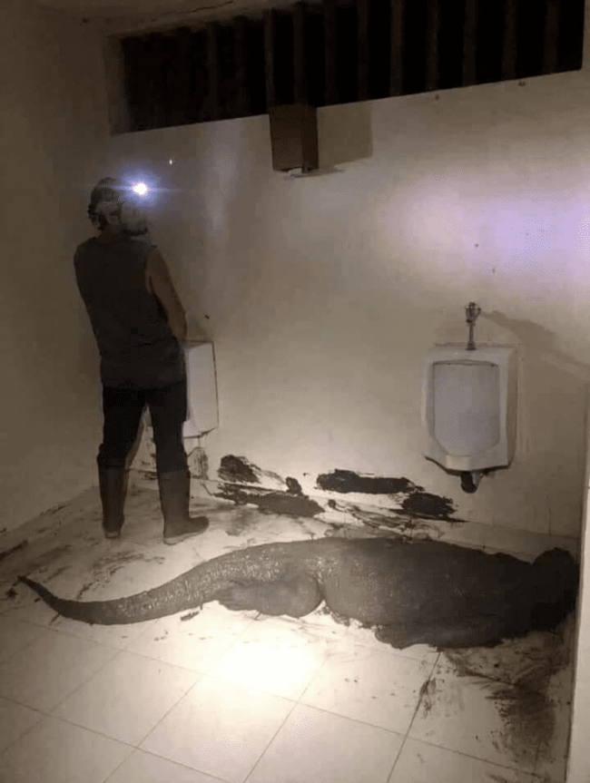40 Of The Best (Meaning Worst) "Cursed Images" We Were Unlucky Enough ...