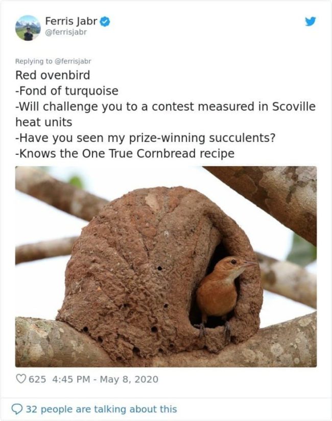 Read This Guy's Funny Reviews Of Bird Nests, You Won’t Egret It(19 Pics)