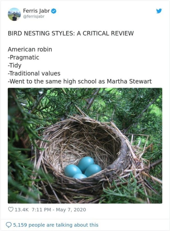 Read This Guy's Funny Reviews Of Bird Nests, You Won’t Egret It(19 Pics)