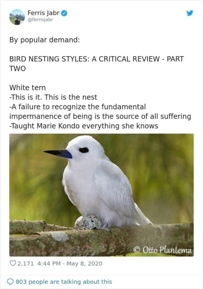 Read This Guy's Funny Reviews Of Bird Nests, You Won’t Egret It(19 Pics)
