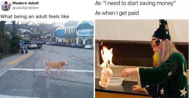 30+ Adulting Memes That Prove Being A Grown-Up Is Way More Difficult ...