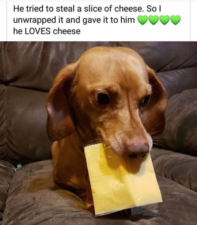 Feeling Lactose Tolerant About These Cheese Memes (23 Pics)