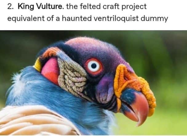 Tumblr Answers The Question "Why Are Birds So Cursed?" (12 Pics)