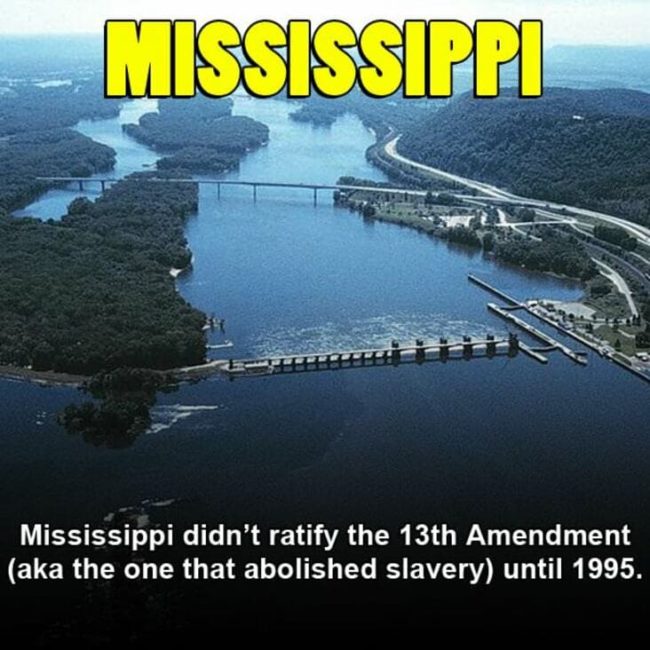Here Are The Most Embarrassing Facts About Each State (50 Pics)