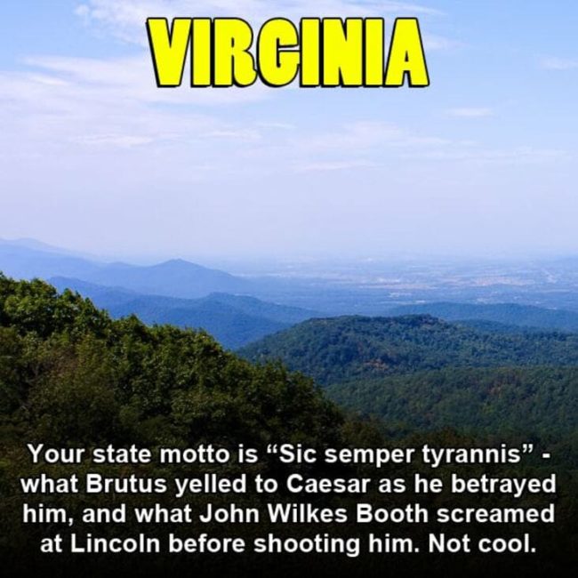 Here Are The Most Embarrassing Facts About Each State (50 Pics)