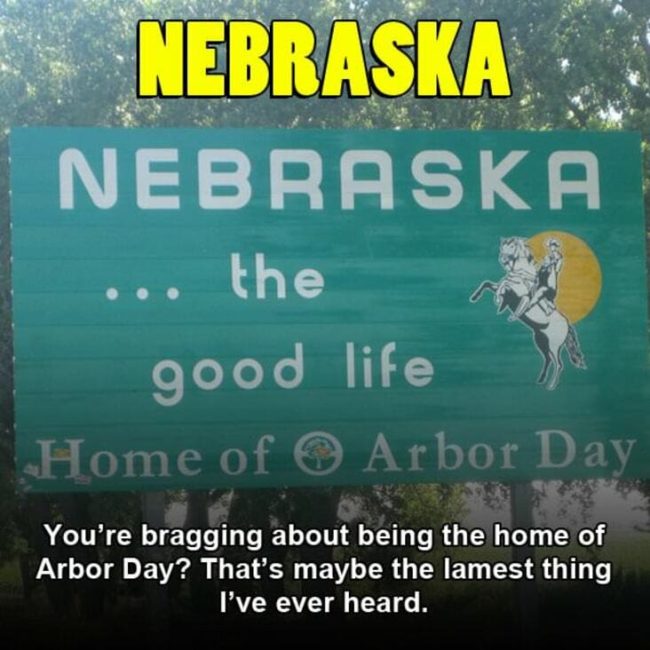 Here Are The Most Embarrassing Facts About Each State (50 Pics)