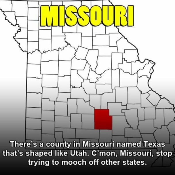 Here Are The Most Embarrassing Facts About Each State (50 Pics)