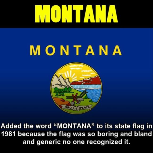 Here Are The Most Embarrassing Facts About Each State (50 Pics)