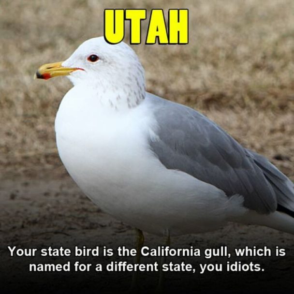 Here Are The Most Embarrassing Facts About Each State (50 Pics)