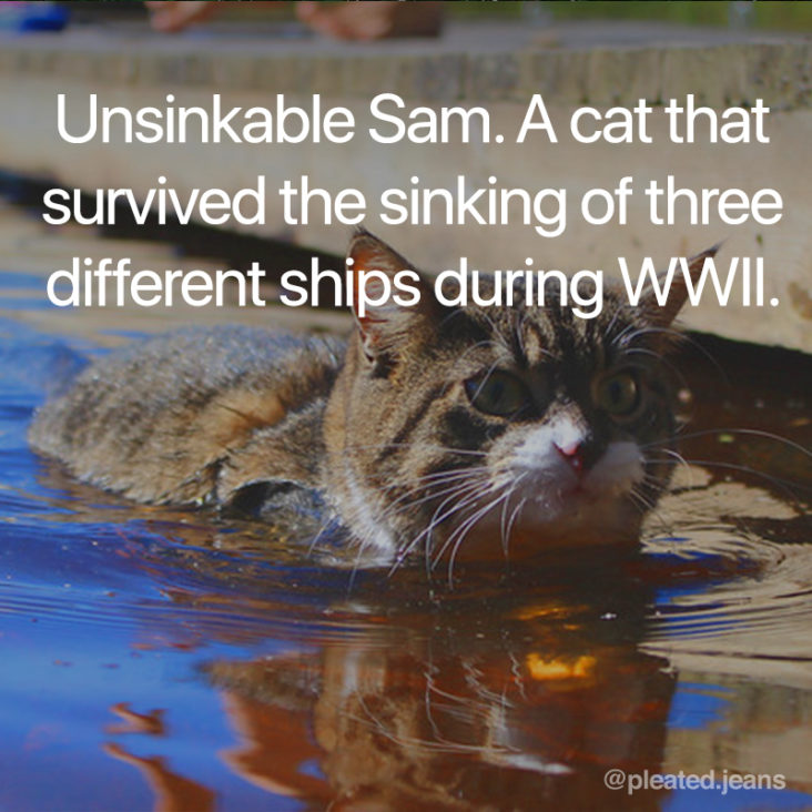 These Facts Sound Made Up But Turns Out They're Totally True (16 Facts)
