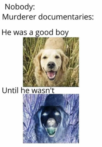 45 True Crime Memes For People Who Somehow Find Murder Oddly Soothing