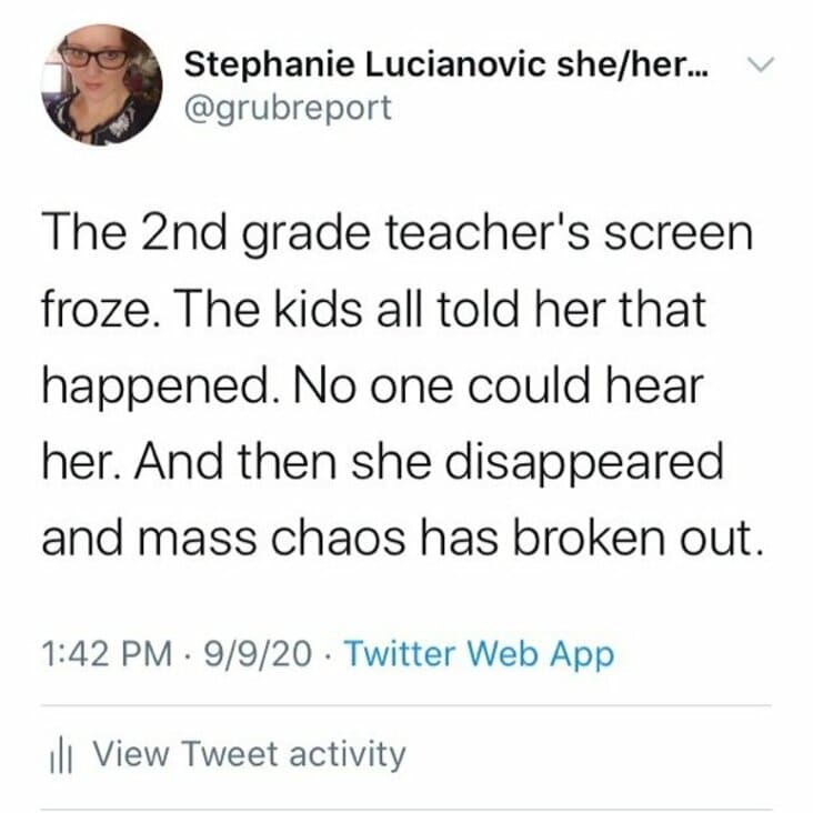 Teacher's Zoom Lessons Freezes And A “Zoom Of The Flies” Ensues (20 Pics)