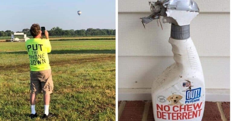 40 Ironic Funny Pictures That Show The Universe Has A Twisted Sense Of ...