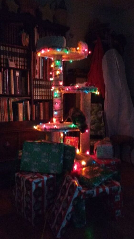 Pet Owners Find Clever Ways To Cat-Proof Their Christmas Tree (35 Pics)