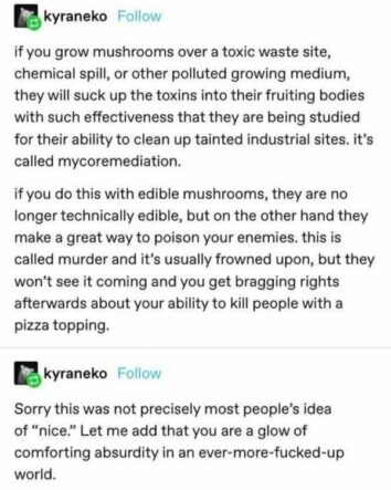 50 Funny Ominous Positivity Memes Will Uplift You, Or Else