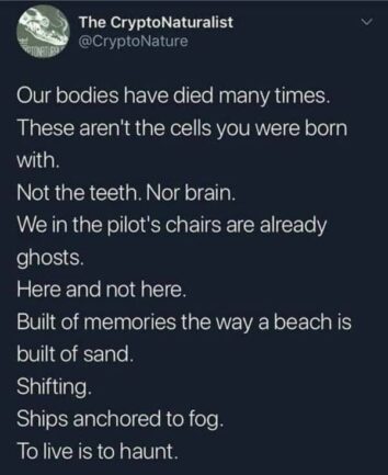 50 Funny Ominous Positivity Memes Will Uplift You, Or Else