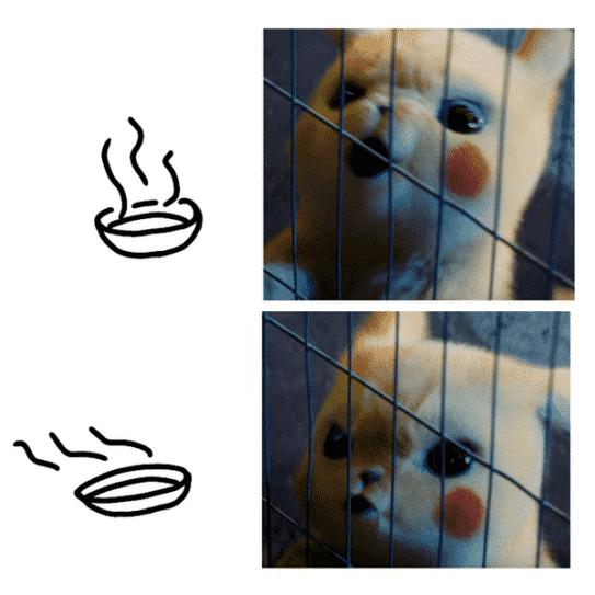 Wrong Meme Usage Isn't A Crime, But Maybe It Should Be