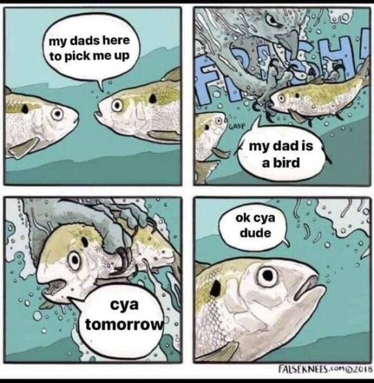 Wrong Meme Usage Isn't A Crime, But Maybe It Should Be