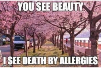 Seasonal Allergy Memes Are Nothing To Sneeze At (25 Memes)