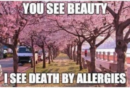 Seasonal Allergy Memes Are Nothing To Sneeze At (25 Memes)